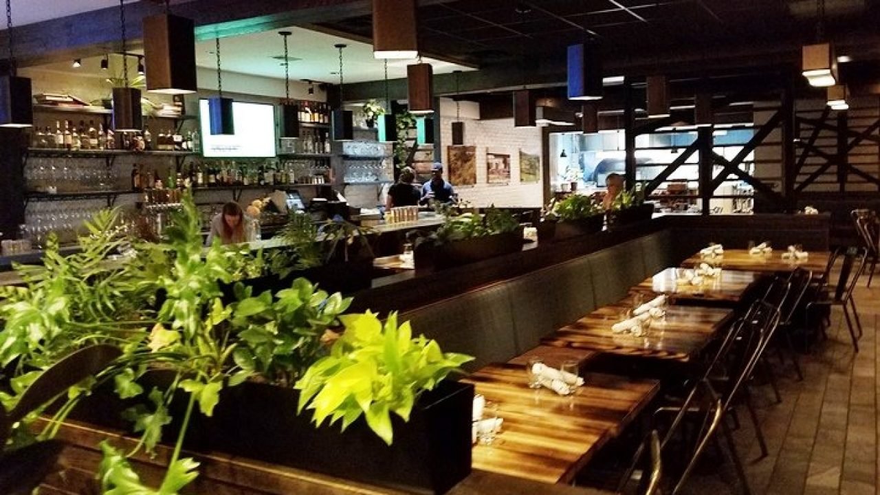 Tazza Kitchen Logo 3 Photos Of Tazza Kitchen In Malleswaram, Bangalore