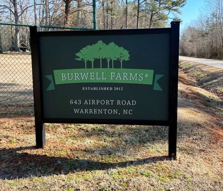 Burwell Farms: Finding a Treasure of White Truffles in a North Carolina ...